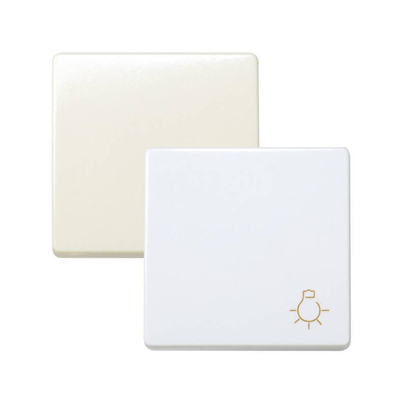 Push-button Switch with Light Symbol 10A 250V and Fast Terminal ...