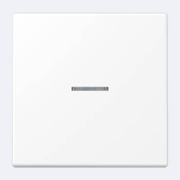 Single Switch Key with Indicator JUNG LS990KO5W - Ledkia