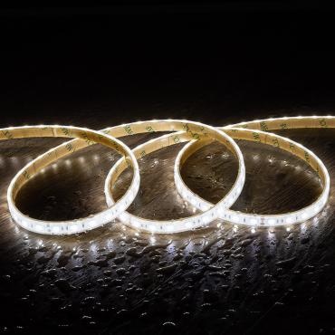 5m 24V DC Submersible LED Strip 60LED/m 12mm Wide Cut at Every 10cm ...