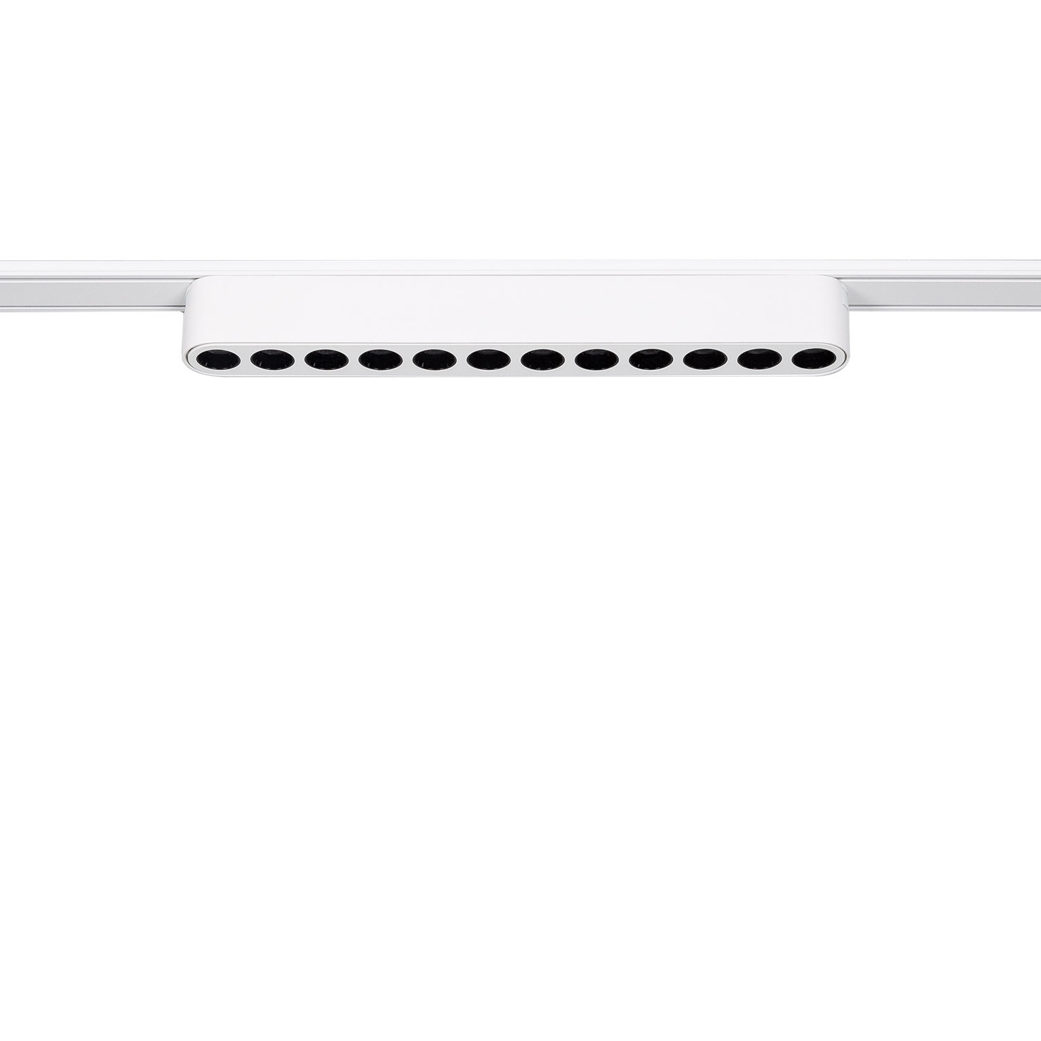 Magnetische Lineaire LED Rail Spot Eenfase 25mm Super Slim 12W 48V ...